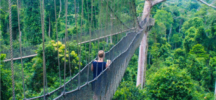 Kakum National Park